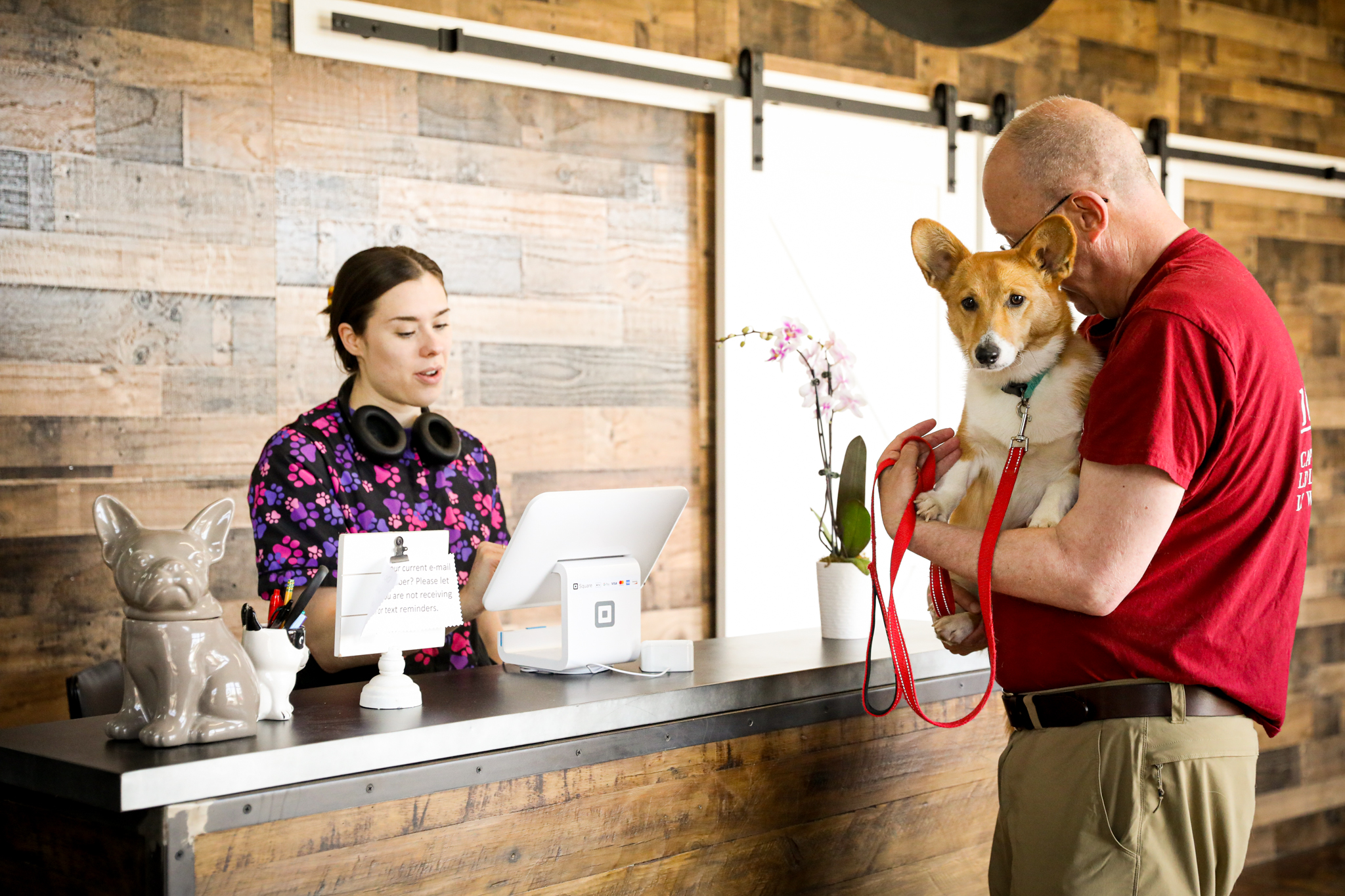 Countryside Pet Grooming – Where Every Pet Is Family